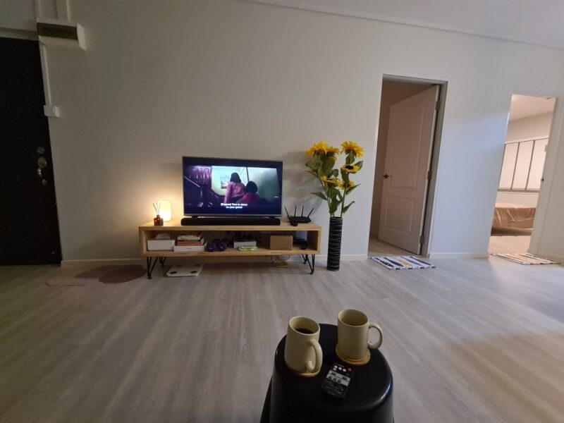 DOME Solid Wood TV Cabinet | MYSEAT Furniture SG