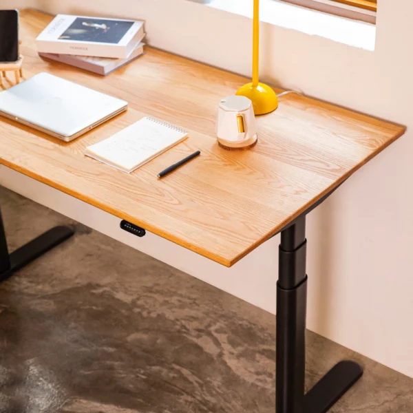 DOMINIC Dual Motor Electric Standing Desk - MYSEAT.sg | Free Delivery ...